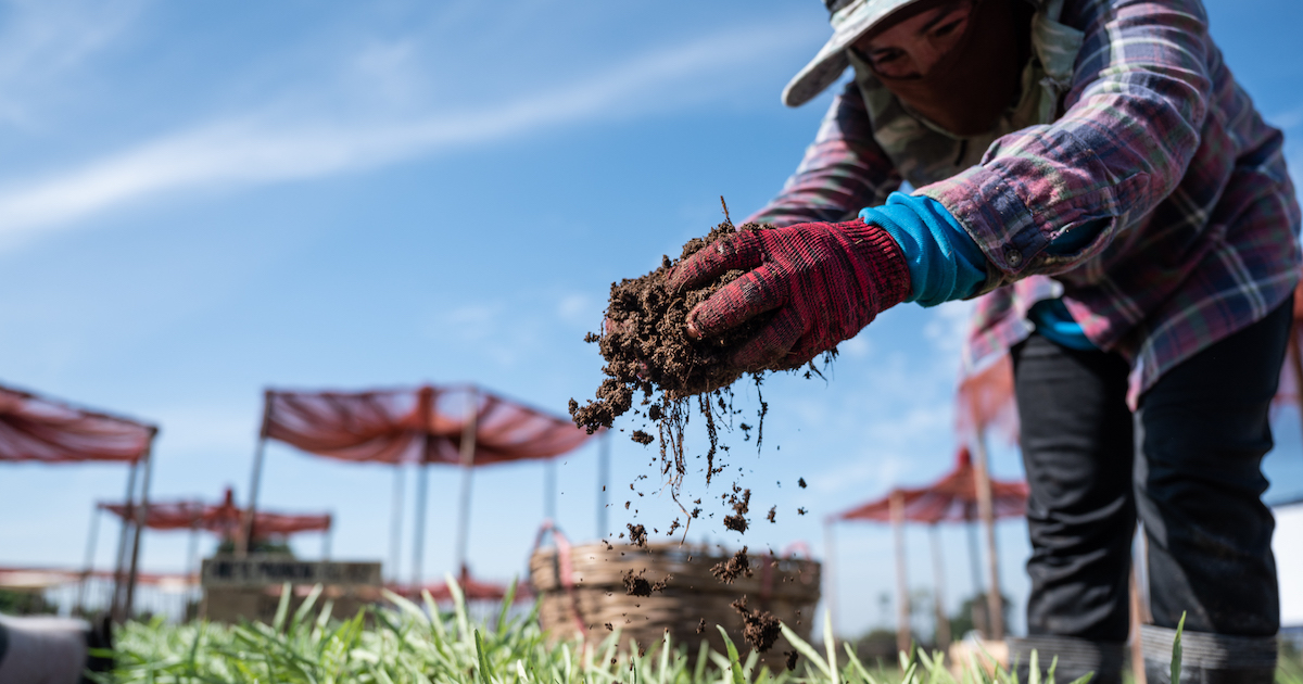 Coffee-powered Farming with Nespresso | Scratch First